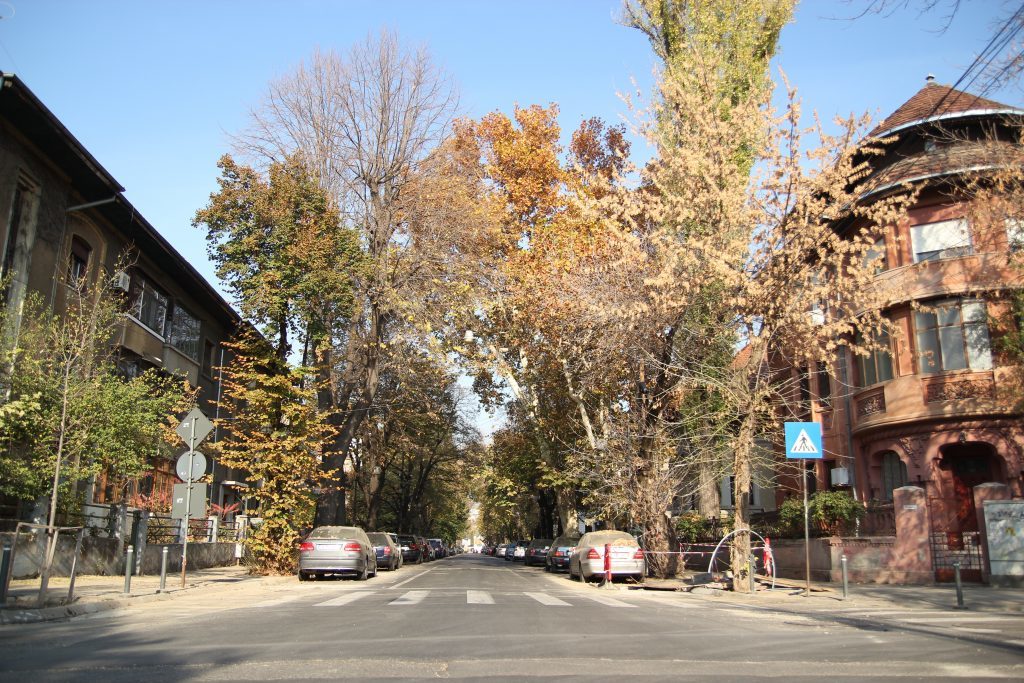 Pentru rabdare si intuitie! -Pentru rabdare si intuitie!